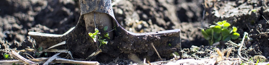 Schop of spade: wanneer en hoe gebruik je ze?